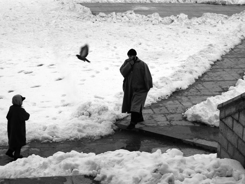 Decisive Moment | Smithsonian Photo Contest | Smithsonian Magazine