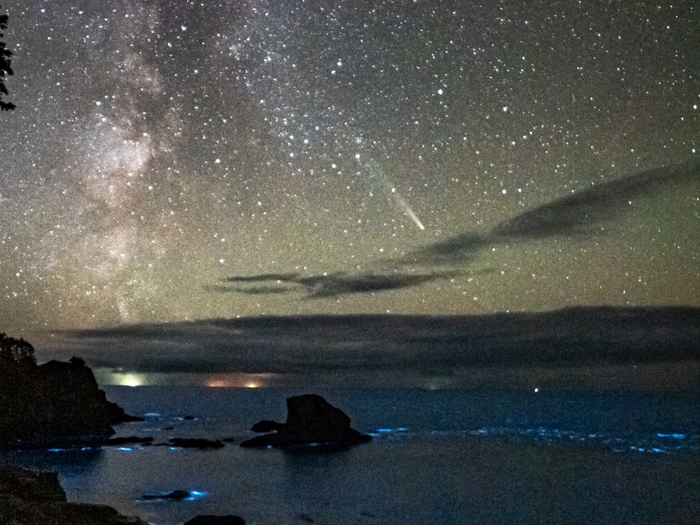 Bioluminescence bloom | Smithsonian Photo Contest | Smithsonian Magazine