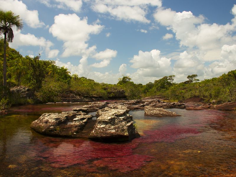 River of Five Colors | Smithsonian Photo Contest | Smithsonian Magazine