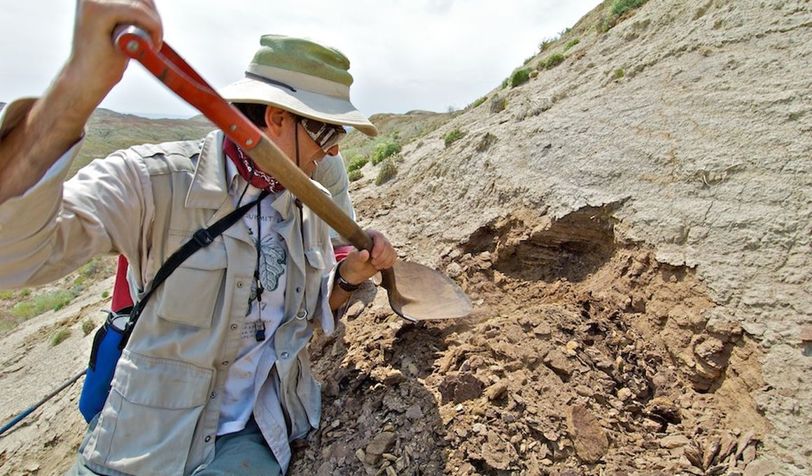 National Museum of Natural History Blog | Smithsonian Magazine