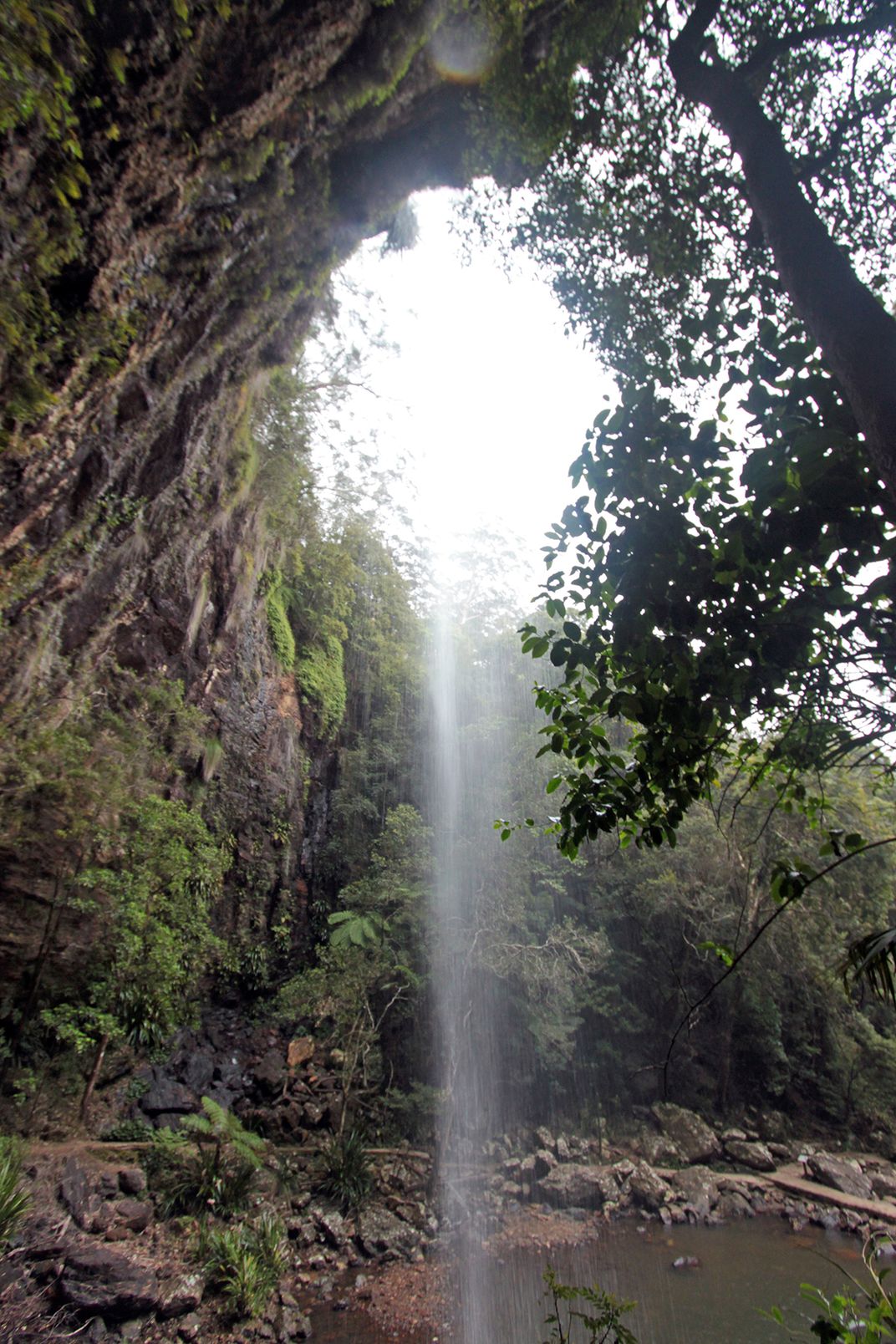 Twin Falls, Godwana Rainforest | Smithsonian Photo Contest ...