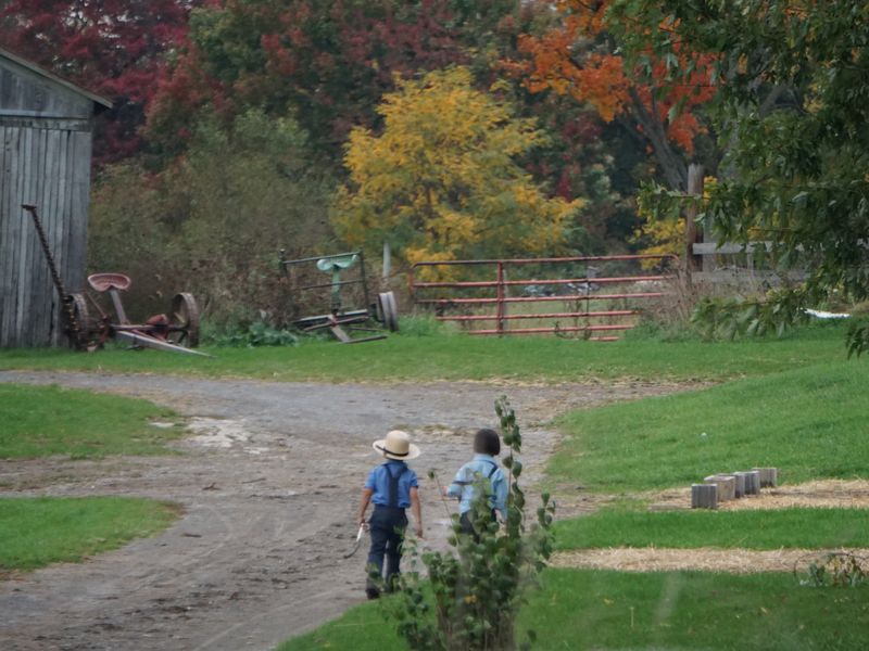 amish kids on the farm | Smithsonian Photo Contest | Smithsonian Magazine