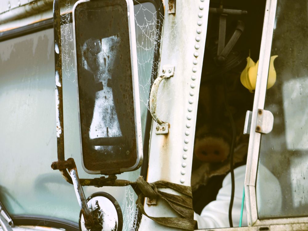 The Bad Bus Driver | Smithsonian Photo Contest | Smithsonian Magazine