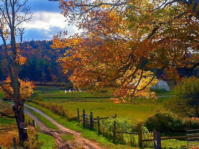 Autumn on the Farm | Smithsonian Photo Contest | Smithsonian Magazine