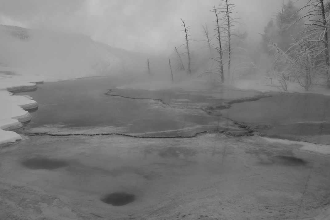 Dryad Spring | Smithsonian Photo Contest | Smithsonian Magazine