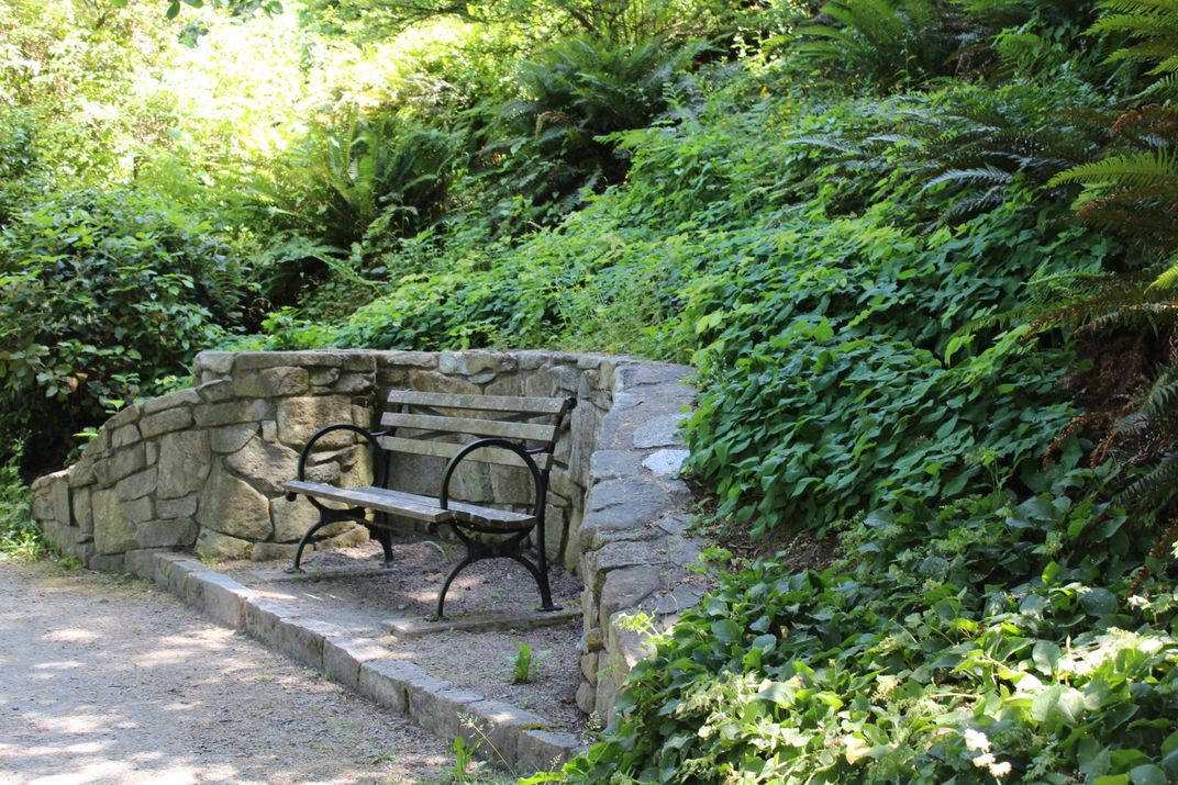 A place of calm, quiet serenity. | Smithsonian Photo Contest ...