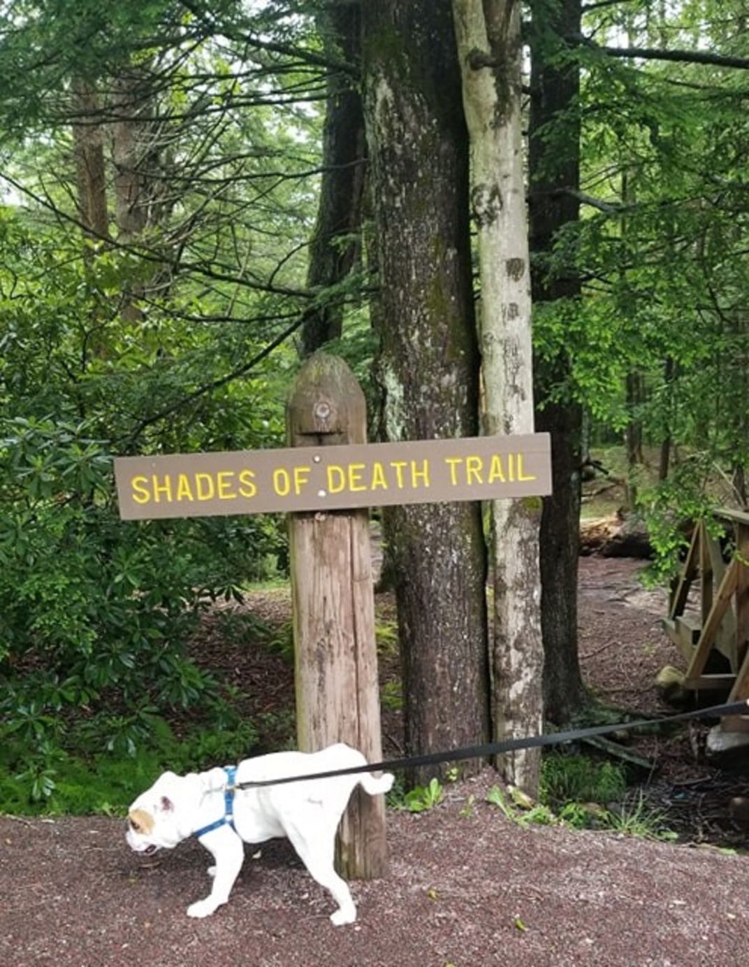Shades of Death | Smithsonian Photo Contest | Smithsonian Magazine