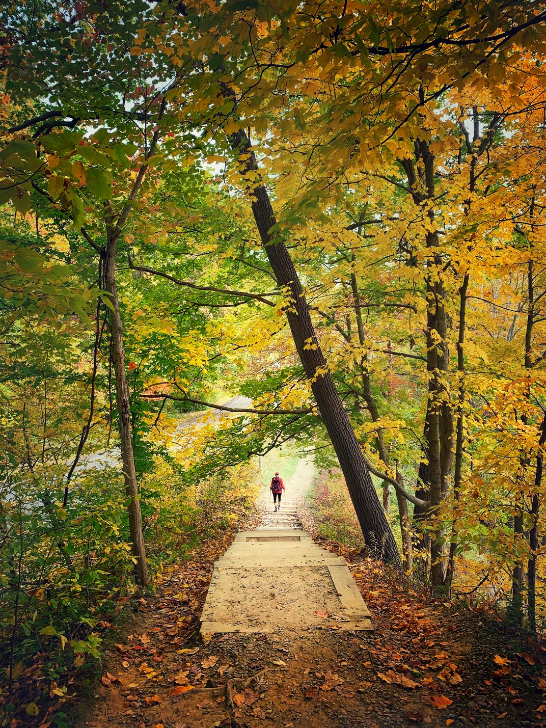 Fall Vibes | Smithsonian Photo Contest | Smithsonian Magazine