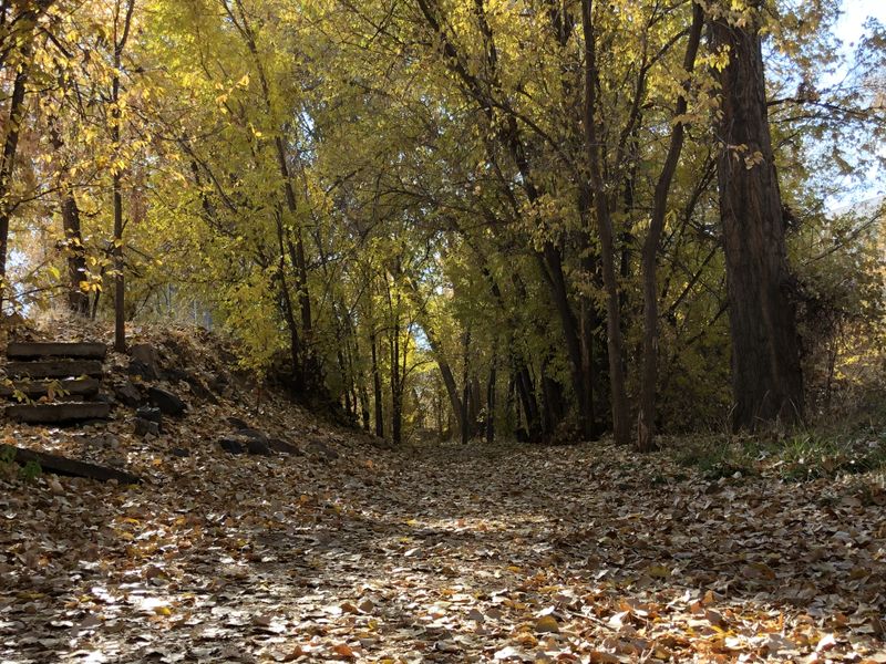 Autumn in Prescott, Arizona | Smithsonian Photo Contest | Smithsonian ...