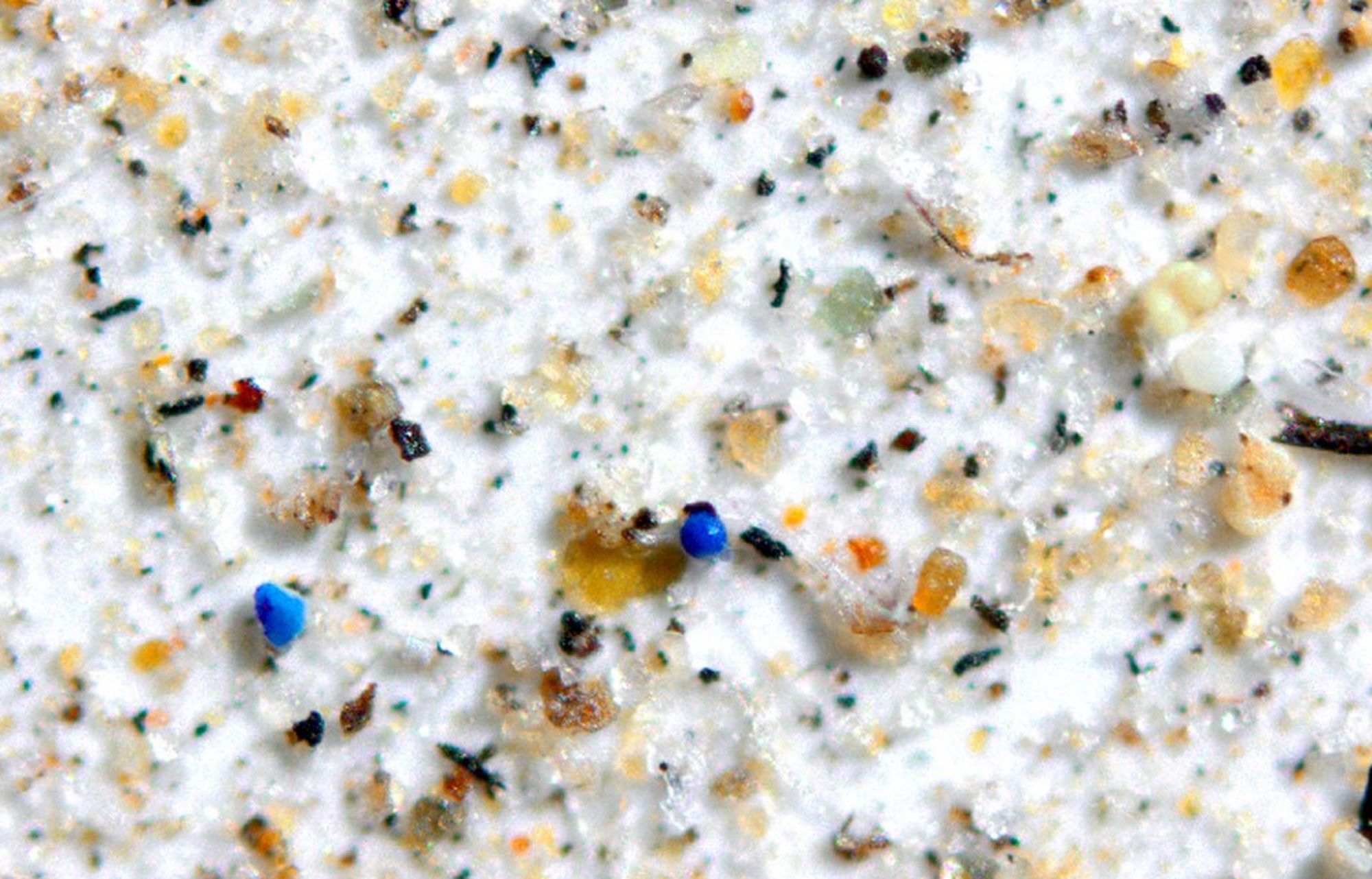 Airborne Microplastics 'Now Spiral Around the Globe'