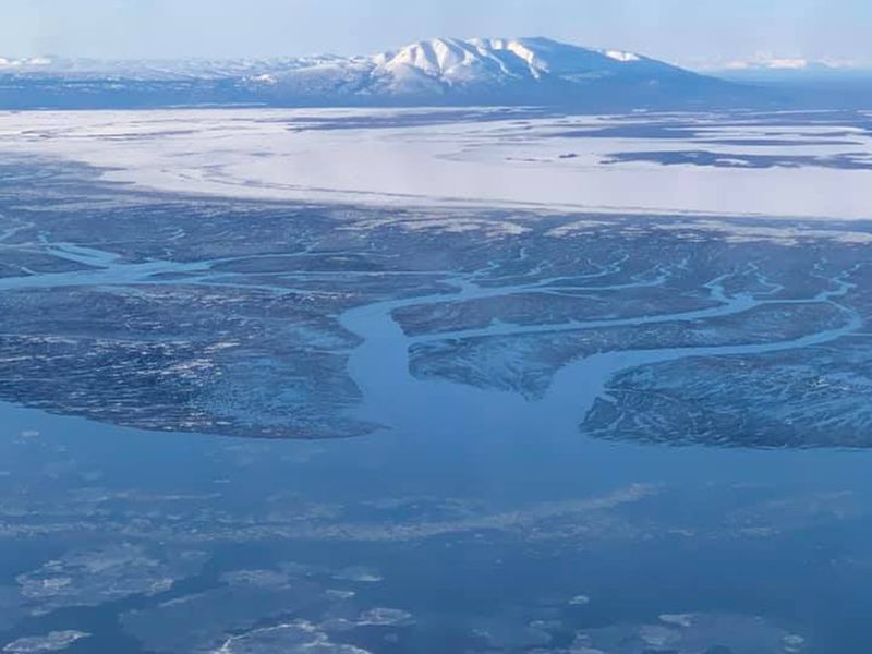 Spring in Alaska | Smithsonian Photo Contest | Smithsonian Magazine