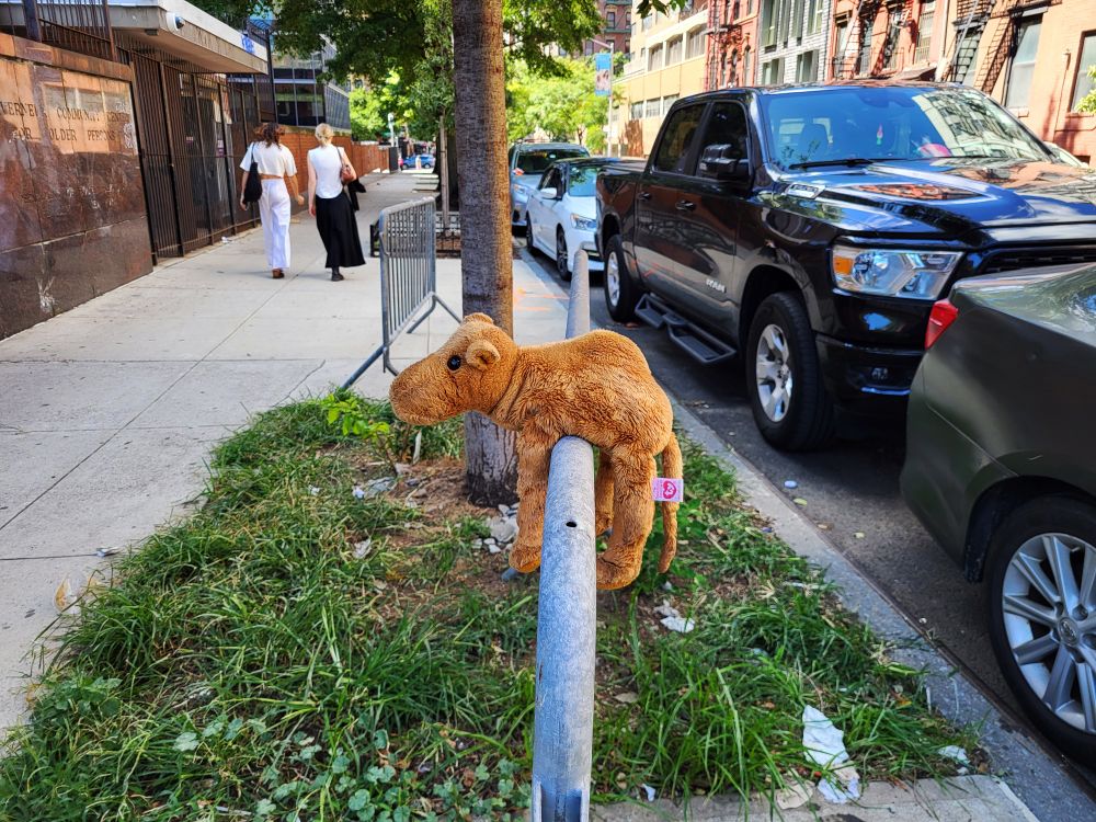 red, stuck and sad | Smithsonian Photo Contest | Smithsonian Magazine
