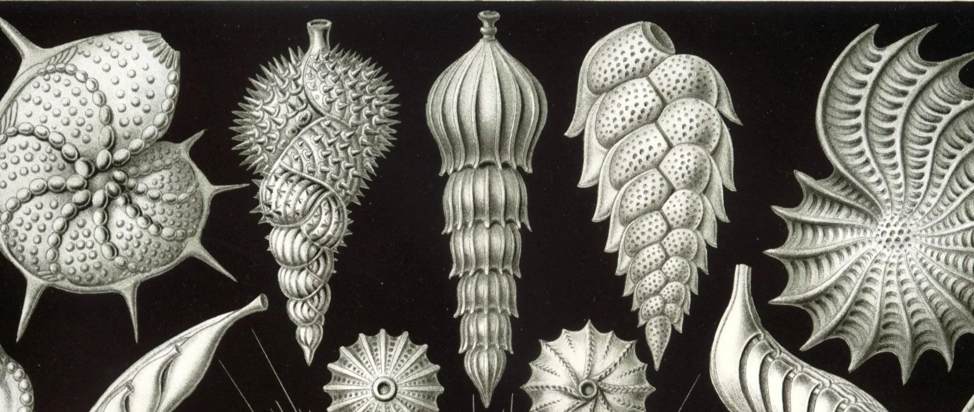 Here's How Scientists Reconstruct Earth's Past Climates | Smithsonian ...