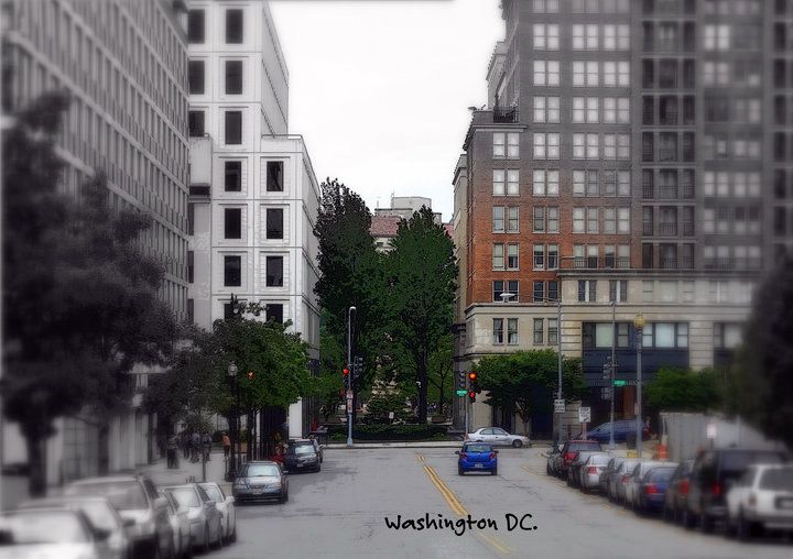 Streets of Washington DC. | Smithsonian Photo Contest | Smithsonian ...