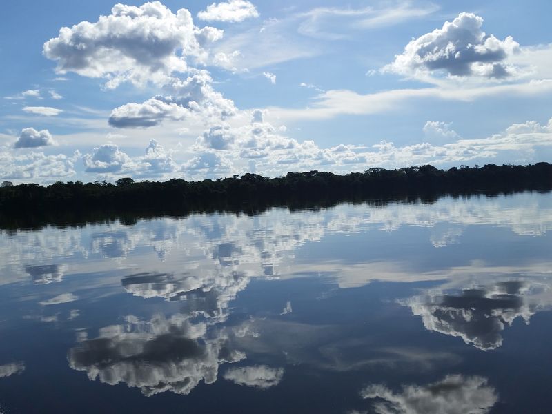 Courantyne River between Guyana and Suriname | Smithsonian Photo ...