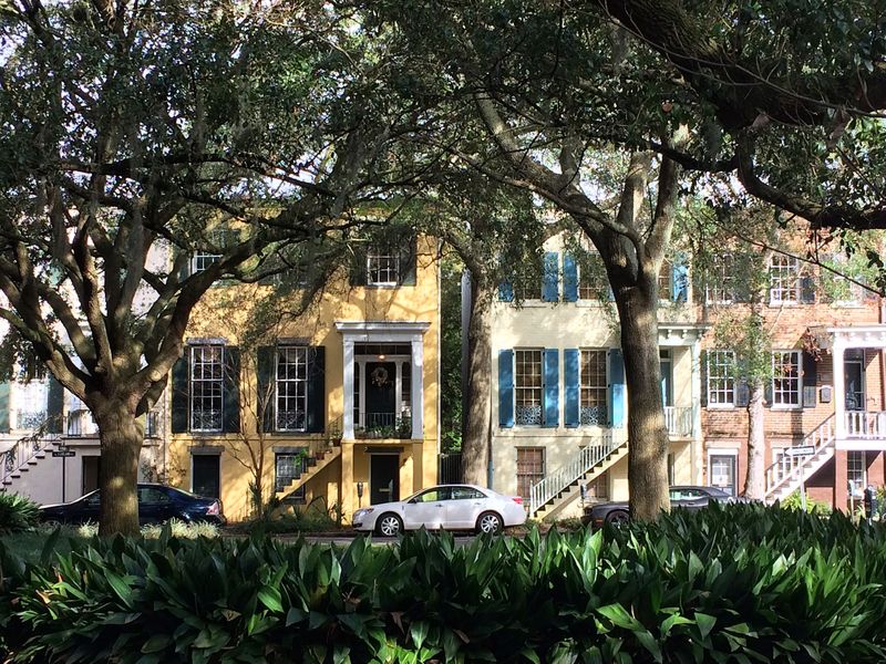 A Savannah Square | Smithsonian Photo Contest | Smithsonian Magazine