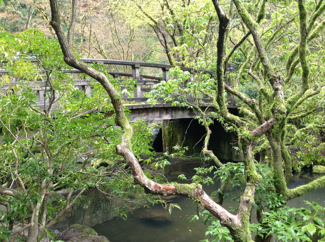 A bridge over small pond in Portland Japanese Garden. | Smithsonian ...