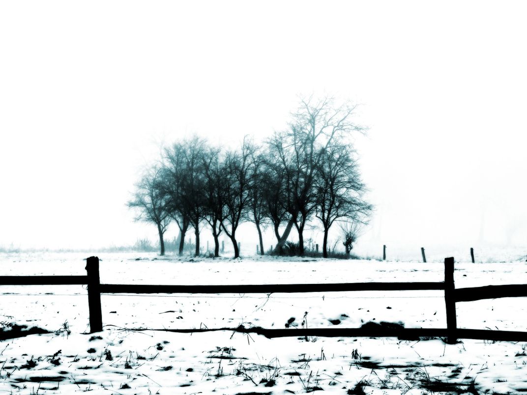 Winter Solitude | Smithsonian Photo Contest | Smithsonian Magazine