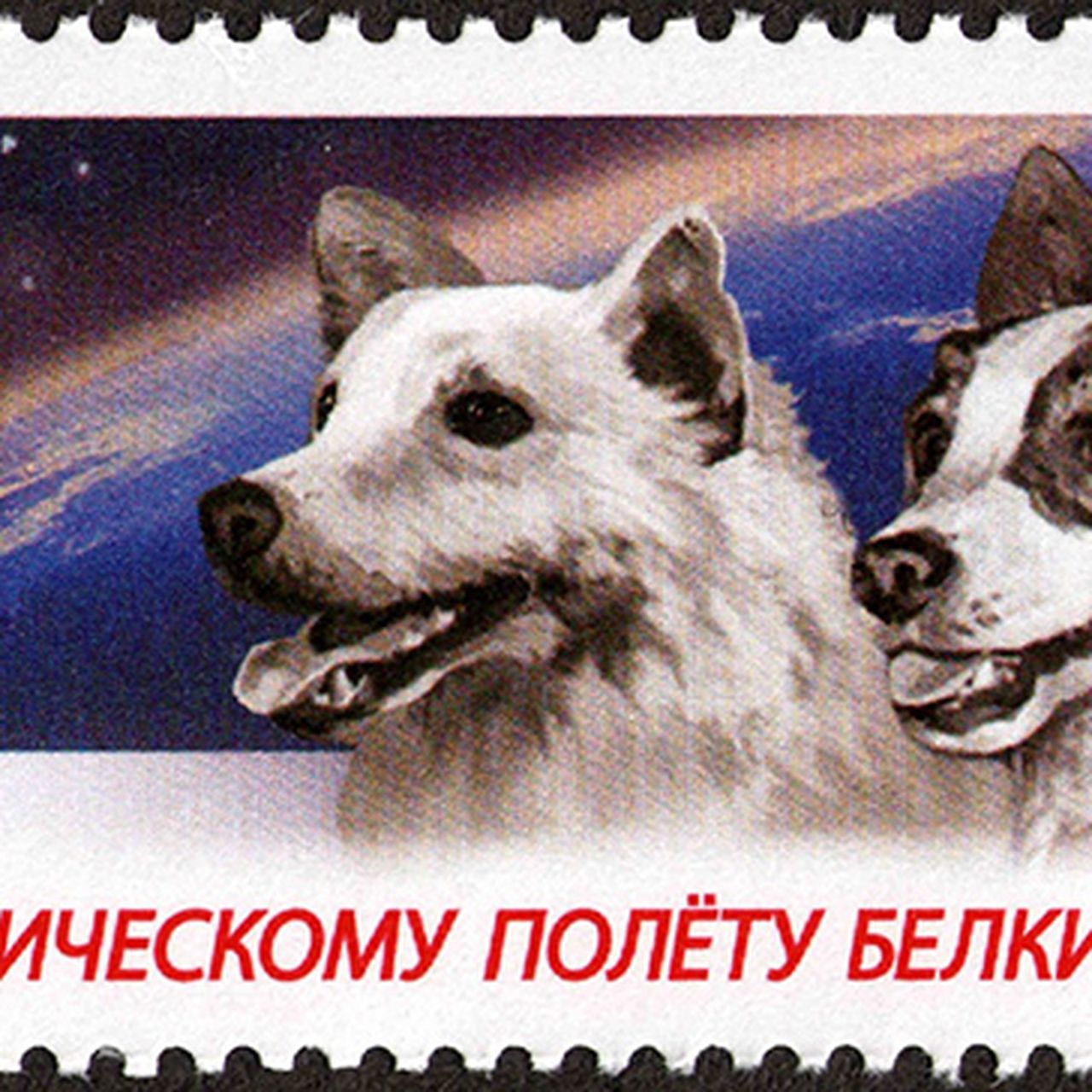 Soviet Stamp Laika Belka_and_Strelka_stamps