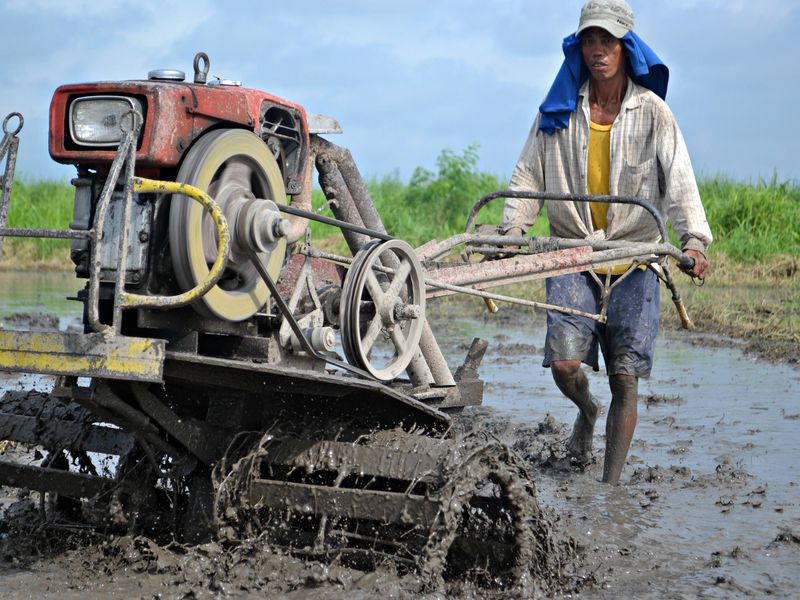 "Araro", a Filipino term which means to Plow. This is a Filipino ...