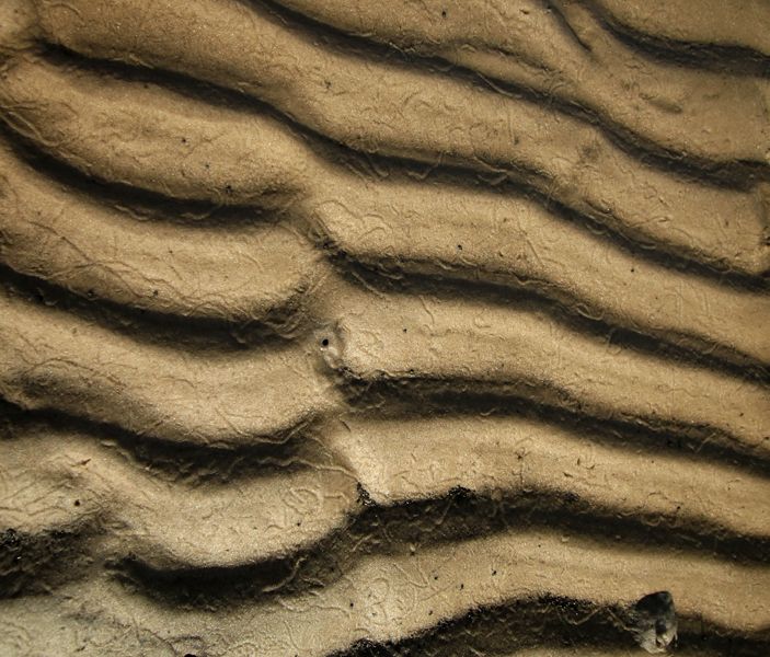 Sand ripples on the beach in Florida. | Smithsonian Photo Contest ...