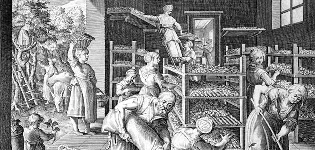 silkworm farming is called