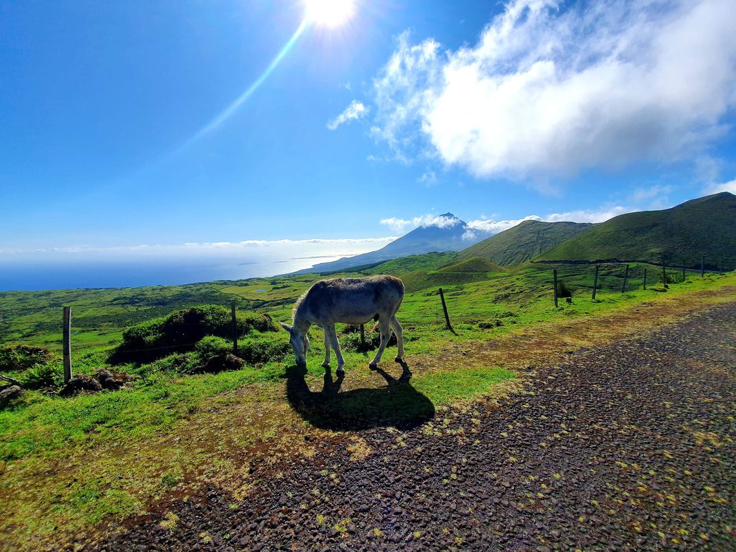 Azorian paradise | Smithsonian Photo Contest | Smithsonian Magazine