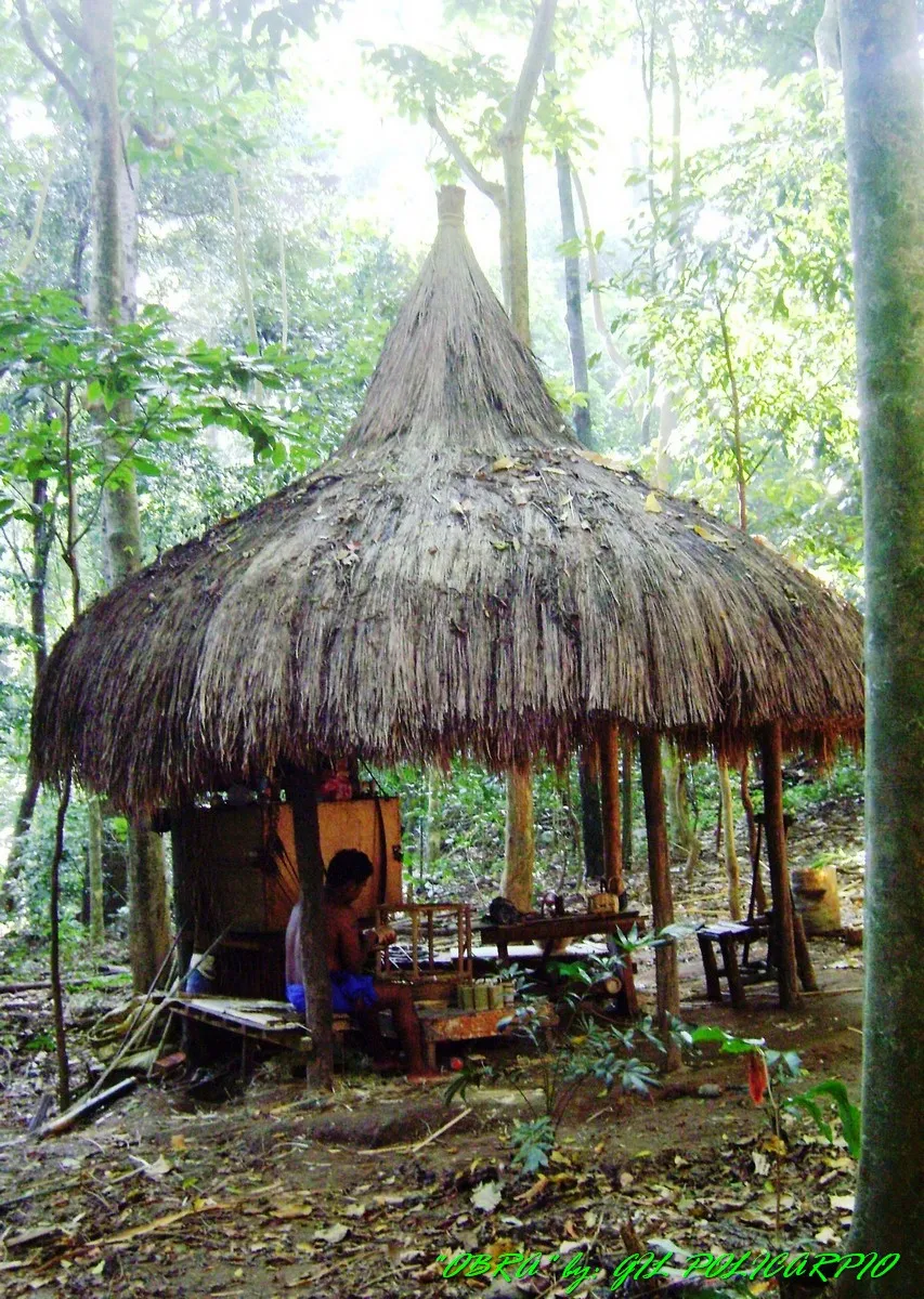 Philippine Native Houses