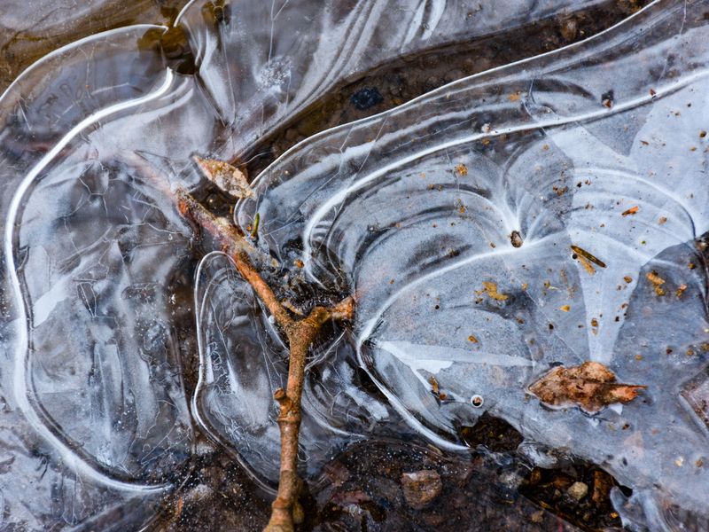 Ice Mud Puddle | Smithsonian Photo Contest | Smithsonian Magazine