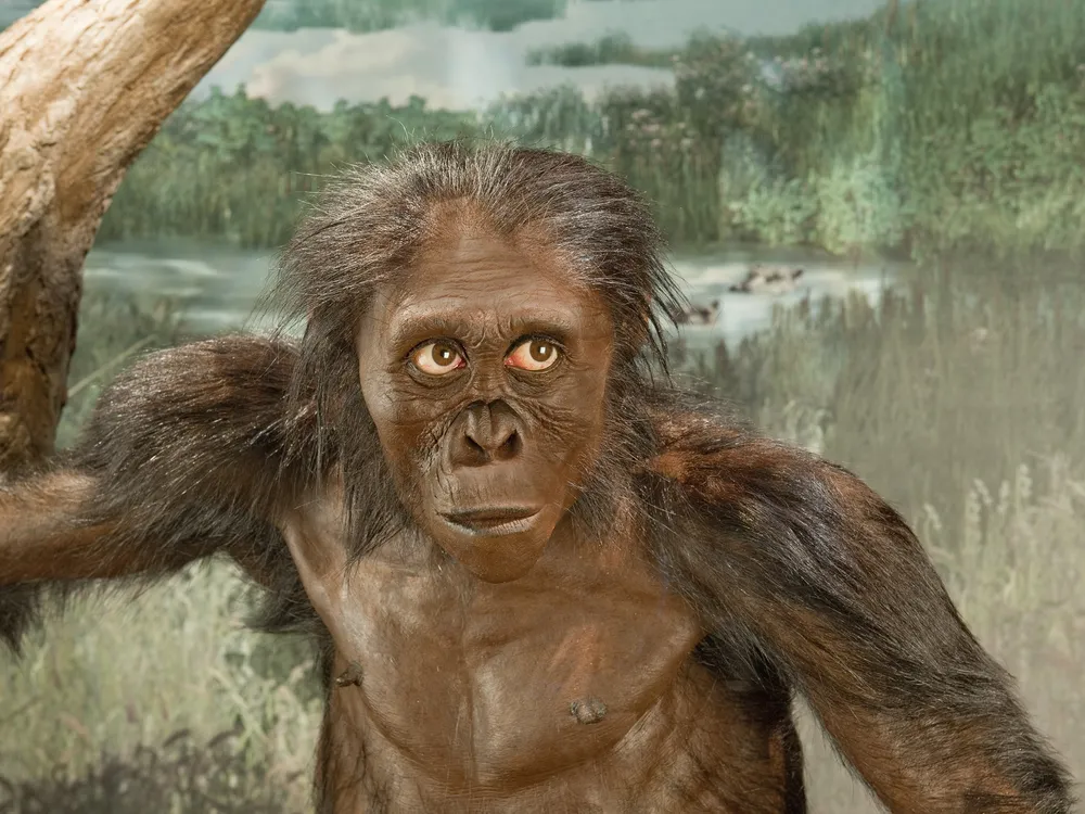 After 50 Years, Scientists Still Love Lucy | Smithsonian Voices ...