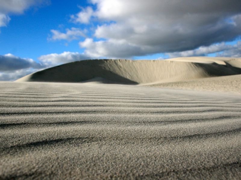 On a 3 wk exscursion through Mexico with 2 others, we camped in These ...