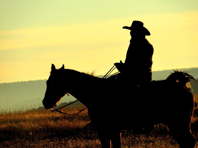 Cowboy at Sunset | Smithsonian Photo Contest | Smithsonian Magazine