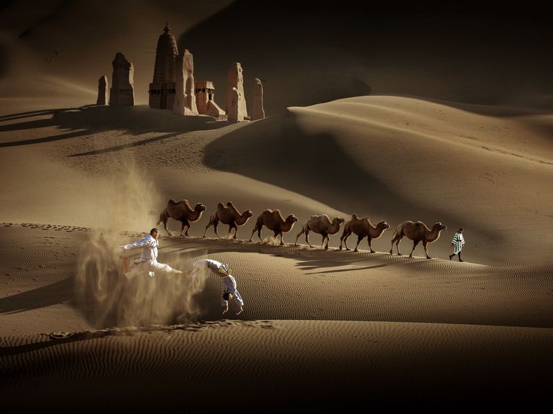 Desert Camel Shadow | Smithsonian Photo Contest | Smithsonian Magazine