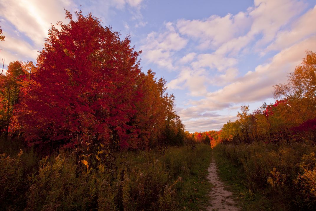Fall | Smithsonian Photo Contest | Smithsonian Magazine