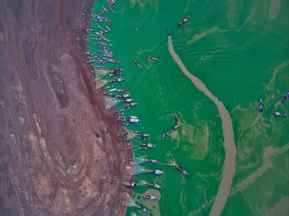 Tri An Lake During Green Algae Season | Smithsonian Photo Contest ...