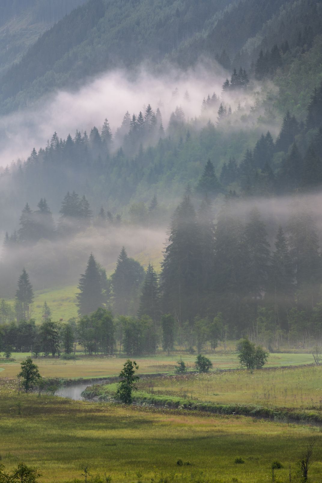 A river through the fog | Smithsonian Photo Contest | Smithsonian Magazine