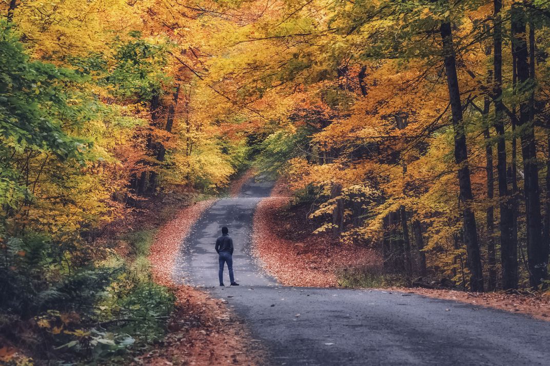 Immersing myself in nature | Smithsonian Photo Contest | Smithsonian ...
