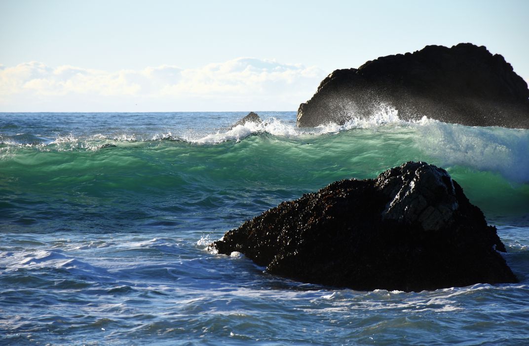 Translucent wave on Sonoma Coastline | Smithsonian Photo Contest ...