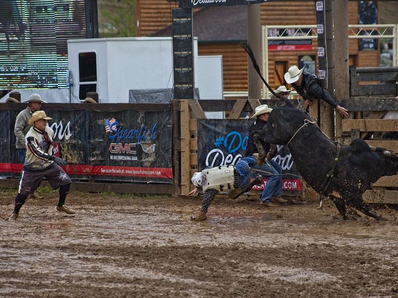 Professional Bull Rider's Rodeo | Smithsonian Photo Contest ...