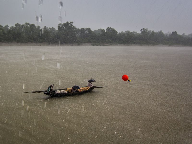 Fight with Nature | Smithsonian Photo Contest | Smithsonian Magazine