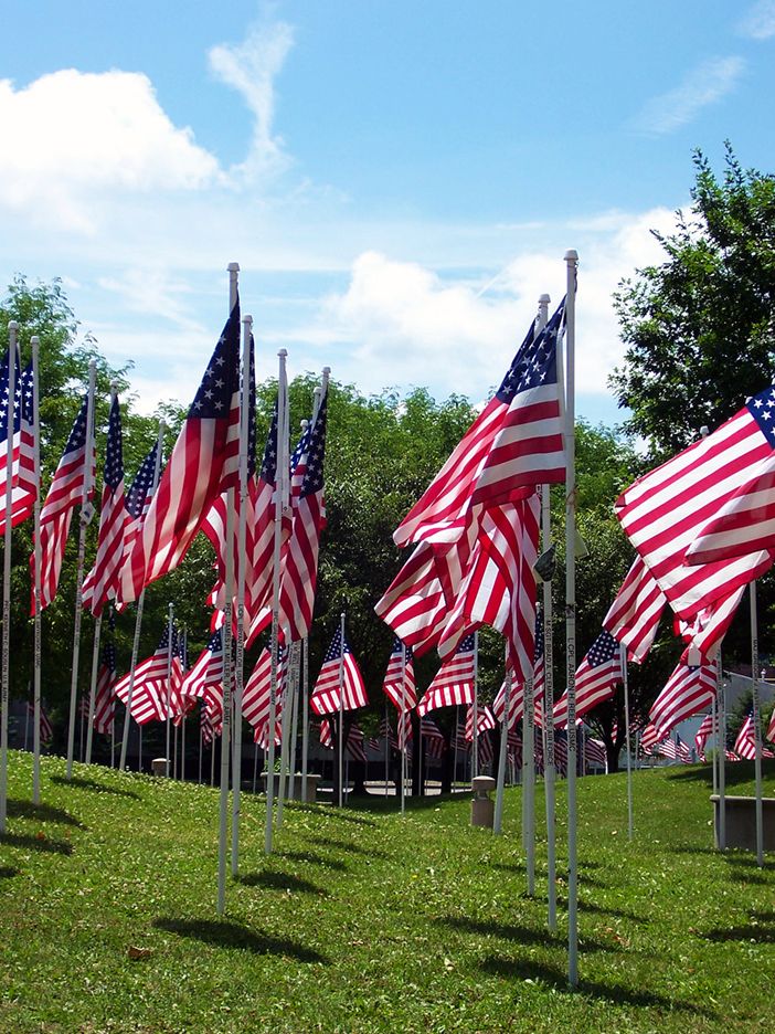A red, white, and blue tribute to our fallen soldiers | Smithsonian ...