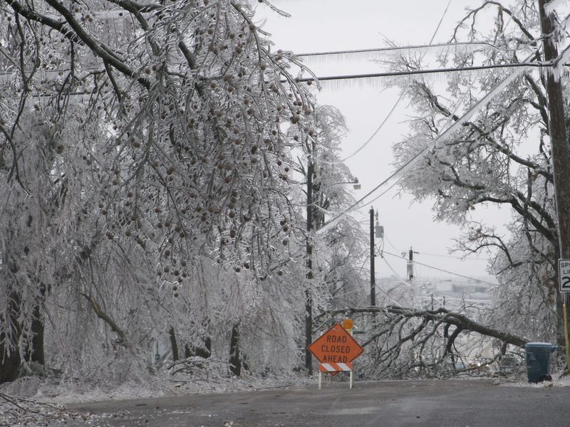 January ice storm in Missouri | Smithsonian Photo Contest | Smithsonian ...
