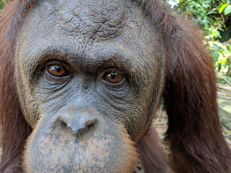 Curious Eyes | Smithsonian Photo Contest | Smithsonian Magazine
