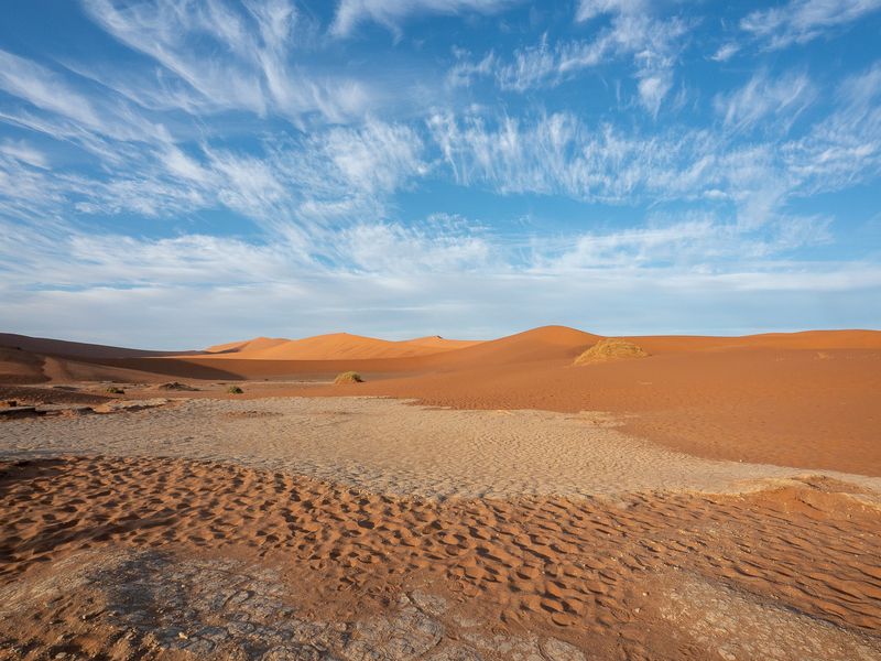 Parched Earth | Smithsonian Photo Contest | Smithsonian Magazine