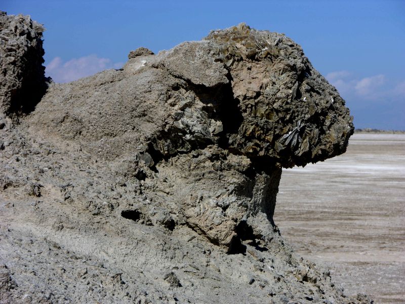 Natural selenite crystal "dog" in Lake Otero, New Mexico | Smithsonian ...