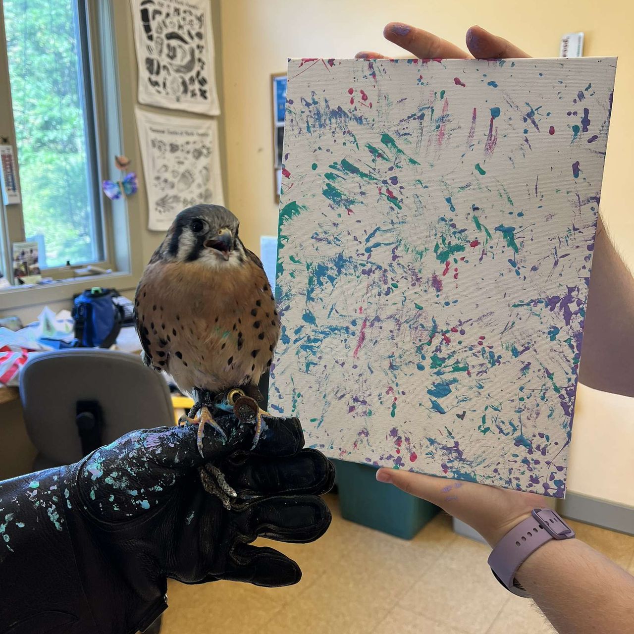 kestrel creative services