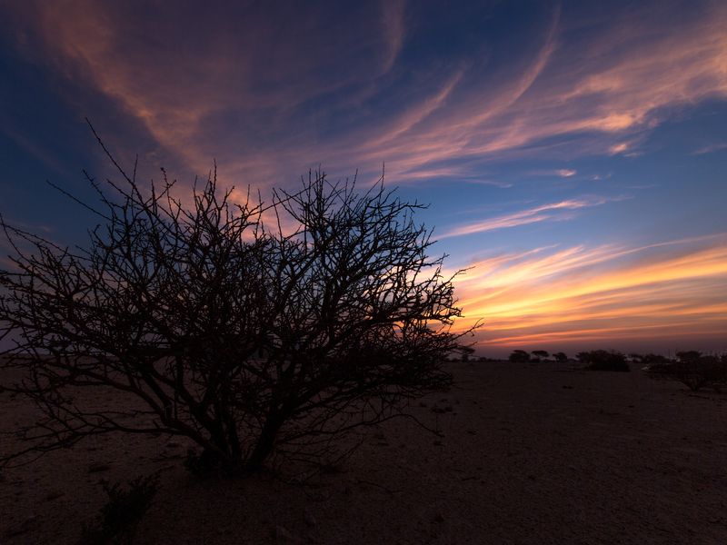 Beauty at its best | Smithsonian Photo Contest | Smithsonian Magazine