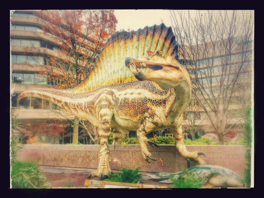 Spinosaurus | Smithsonian Photo Contest | Smithsonian Magazine