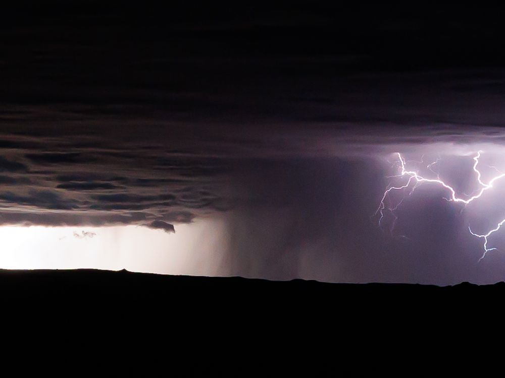 Plants and Lightning | Smithsonian Photo Contest | Smithsonian Magazine