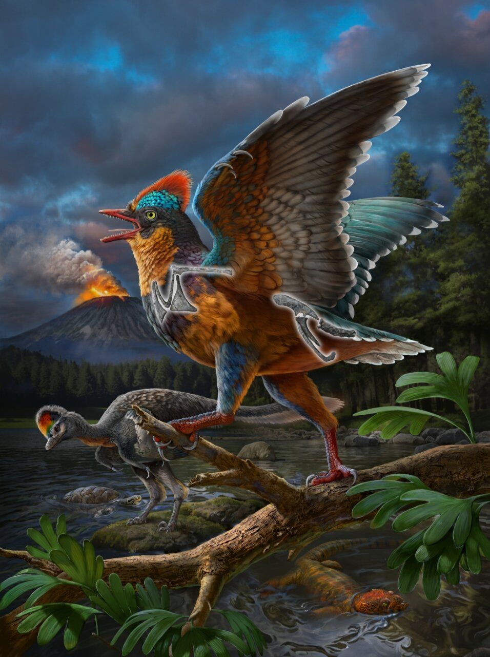 Scientists Discover 'Groundbreaking' Jurassic Fossil That Could ...